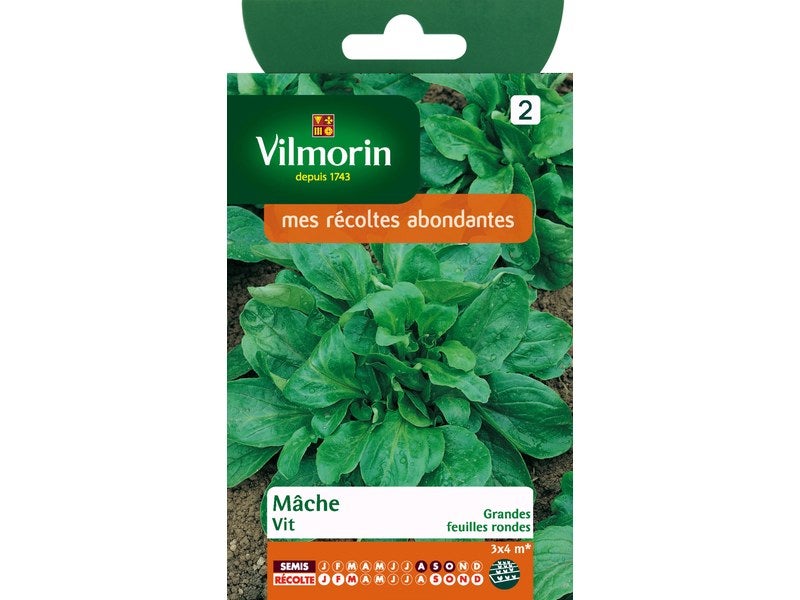 Mâche mâche vit VILMORIN 3 g